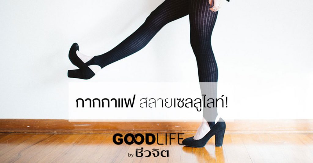 BODY Archives - Page 343 of 361 - Cheewajit