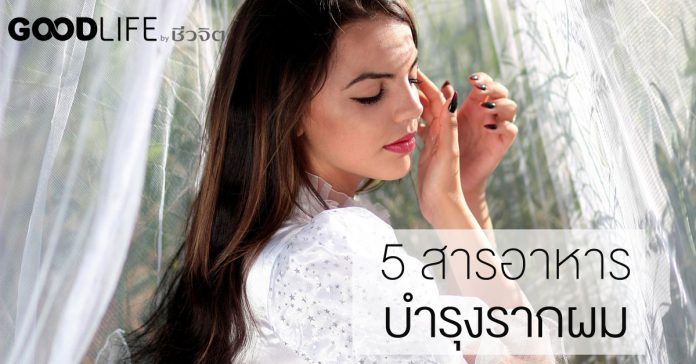 BODY Archives - Page 313 of 361 - Cheewajit