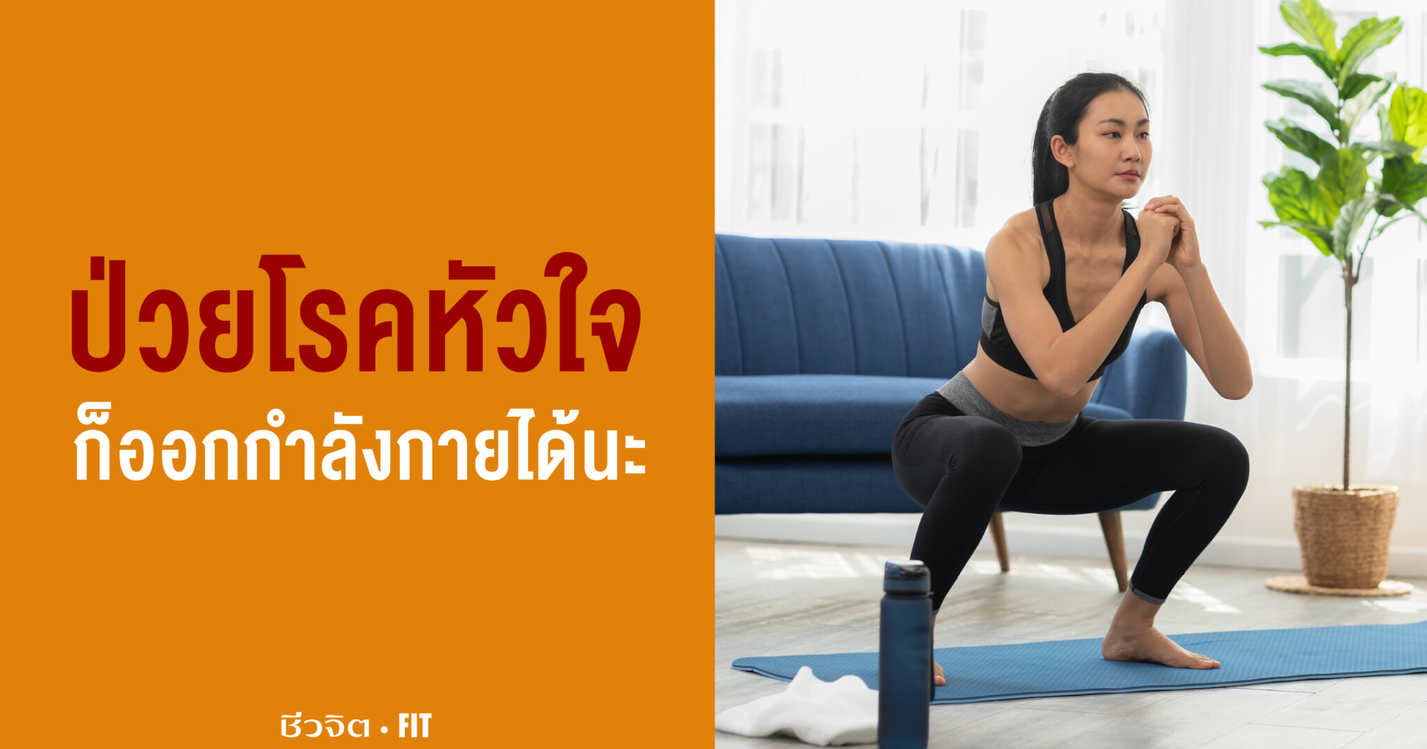 BODY Archives - Page 11 of 361 - Cheewajit