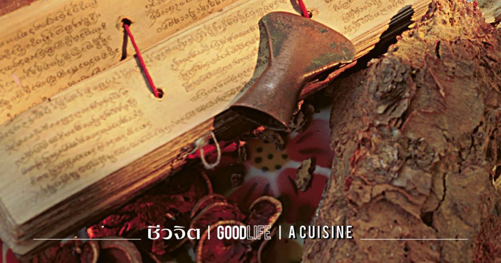 สมุนไพรพื้นบ้าน Archives - Cheewajit